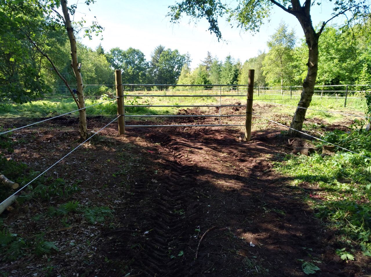 Der richtige Elektro-Weidezaun für Ihre Tiere | Weidezaun-Bau.de